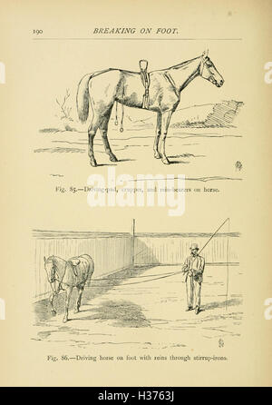 This illustrated guide offers methods for breaking horses, providing ...