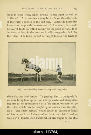 An illustrated guide to horse-breaking techniques, focusing on methods ...