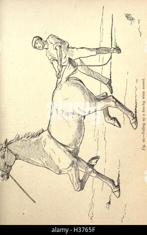 This illustrated guide offers step-by-step instructions on horse ...