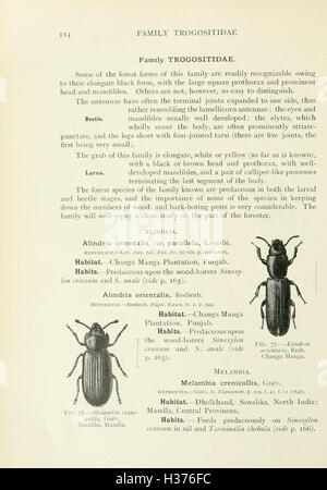 This work discusses economically significant forest insects in India ...