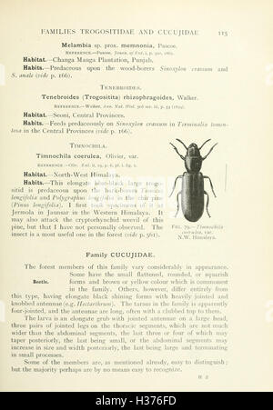 This study explores the insect pests that affect cigar-type tobacco ...