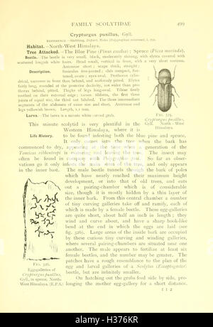 This work highlights economically significant forest insects found in ...