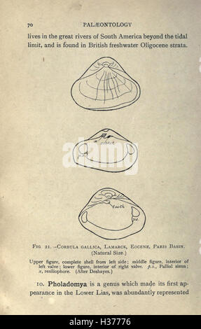 An introduction to paleontology, focusing on fundamental principles of ...