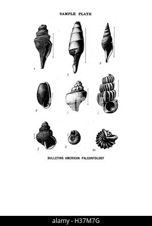 This guide provides a key to understanding the upper Devonian ...