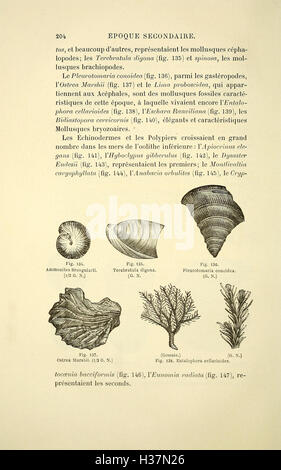 This work discusses the Earth before the biblical flood, exploring ...