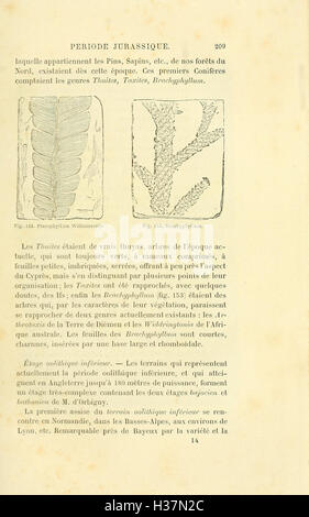 This French work, 'The Earth Before the Flood,' explores pre-flood ...