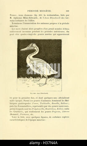 A historical exploration of prehistoric times, focusing on the early ...