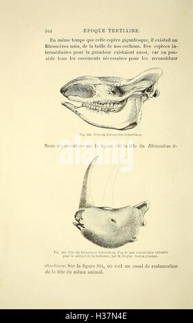 This French work, translated as 'The Earth Before the Flood', explores ...