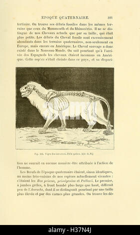 This text delves into the Earth's ancient history, tracing the ...