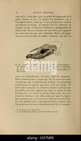 This French work discusses the connections and evolutionary chains of ...