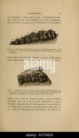 This French text examines the evolutionary transitions of animal ...