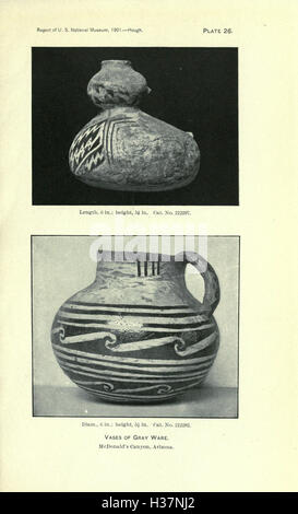 This report details the findings from the 1901 Museum-Gates Expedition ...