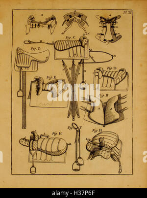 This French work, 'The New Perfect Farrier,' offers an in-depth guide ...