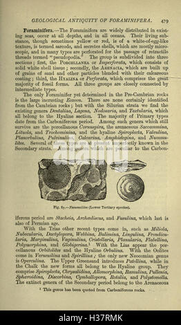 This manual provides a comprehensive guide to geology, focusing on the ...