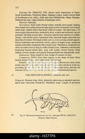 This work examines the Mesozoic era Coleoptera, focusing on the beetles ...