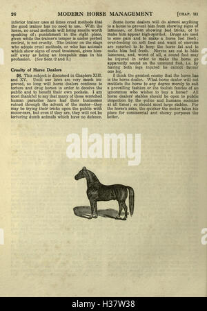 A comprehensive guide to current practices in managing horses ...