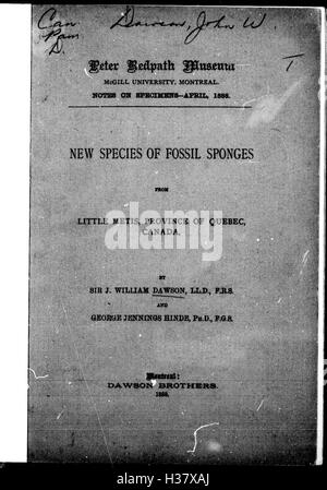 This study introduces new species of fossil sponges discovered in ...