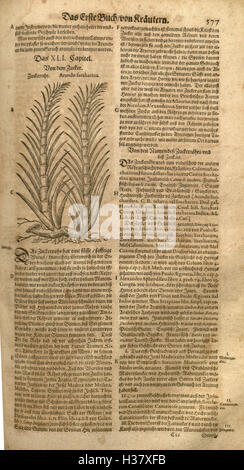 This herbal book focuses on new plants and their uses, providing a ...