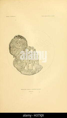 This work explores the artistic use of shells by ancient American ...