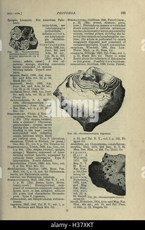 This resource provides an overview of North American geology and ...