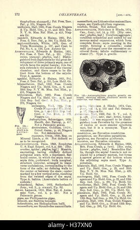 This comprehensive guide provides insights into North American geology ...