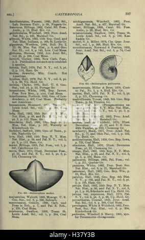 This text offers an introduction to paleontology for geology students ...