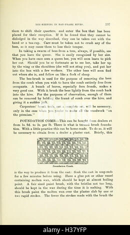 Australian bee lore and bee culture (Page 302) BHL114 Stock Photo - Alamy