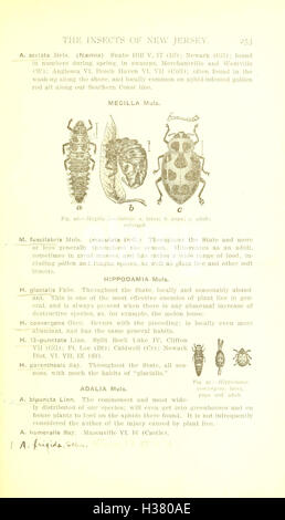 This page focuses on the Coleoptera, one of the largest orders of ...