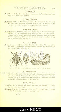 This work covers the classification and characteristics of Coleoptera ...