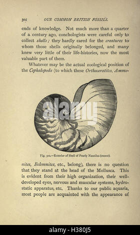 This work provides a guide to common British fossils, detailing their ...
