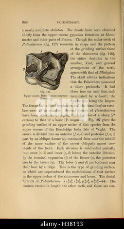 This work covers extinct animal species, offering an overview of their ...