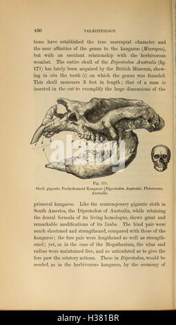 This text provides a systematic overview of extinct animals, examining ...