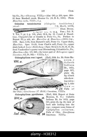 This dictionary provides comprehensive listings and descriptions of ...