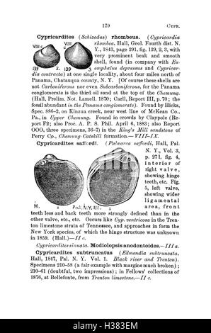 This dictionary provides comprehensive information on the fossils of ...