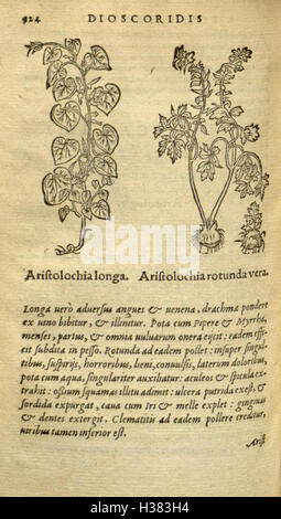 This classical text by Dioscorides details medicinal materials ...