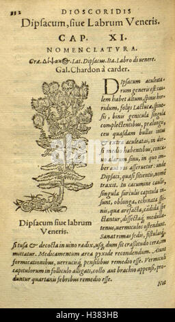 This page contains a section from Pedanius Dioscorides' 'De Materia ...