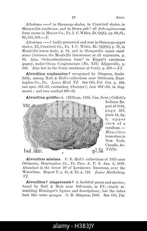 This dictionary catalogs fossils found in Pennsylvania and surrounding ...