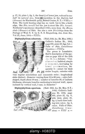 A comprehensive dictionary listing fossil species discovered in ...