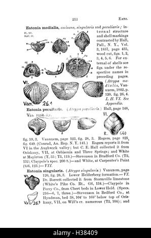 This dictionary provides a comprehensive listing of fossil species ...