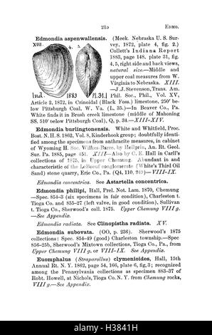 This dictionary catalogs fossil species found in Pennsylvania and ...
