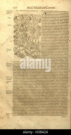 This section continues Matthioli's commentary on Dioscorides' medicinal ...