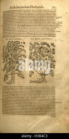 This page contains a commentary on the medical works of Dioscorides ...