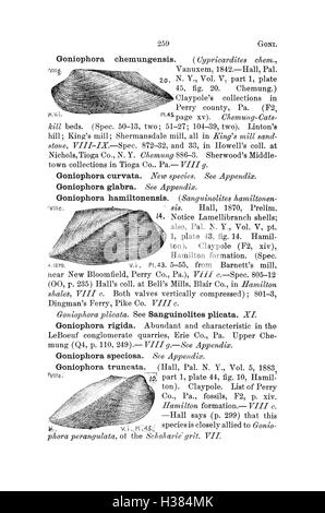 This page provides a dictionary of fossils from Pennsylvania and ...