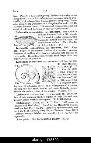 This dictionary provides a comprehensive listing of fossil species ...