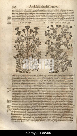 This classical work by Dioscorides on medicinal substances provides ...