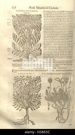 This page presents the complete works of Petrus Andrea Matthioli ...