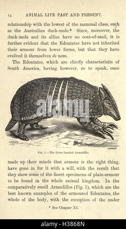 This work explores the various stages of animal life, both in the past ...