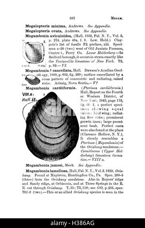This dictionary compiles fossil names and descriptions found in ...