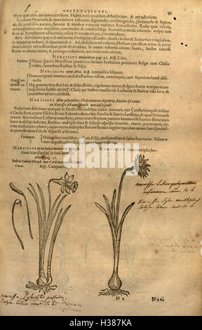 An early botanical work exploring the history and classification of ...