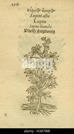 An illustrated work documenting various plant genera, providing ...